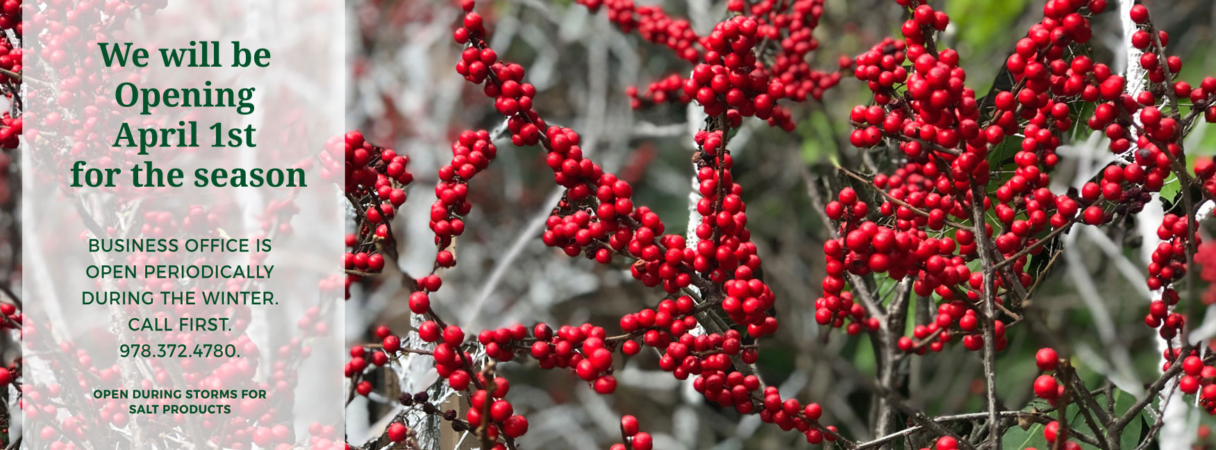 Rogers Spring Hill Garden Center